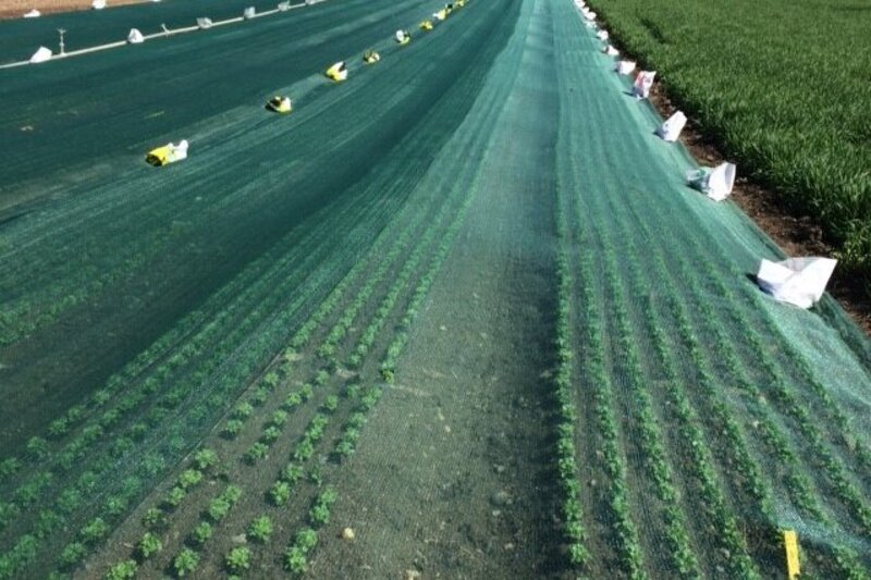 Agroflor : references: crop protection