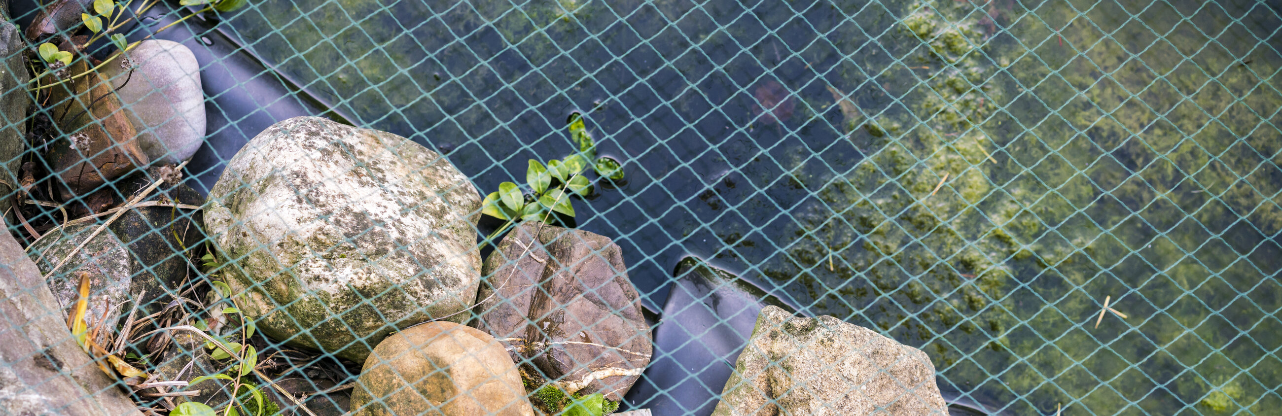 Agroflor : home: leaf protection for pools and ponds by agroflor