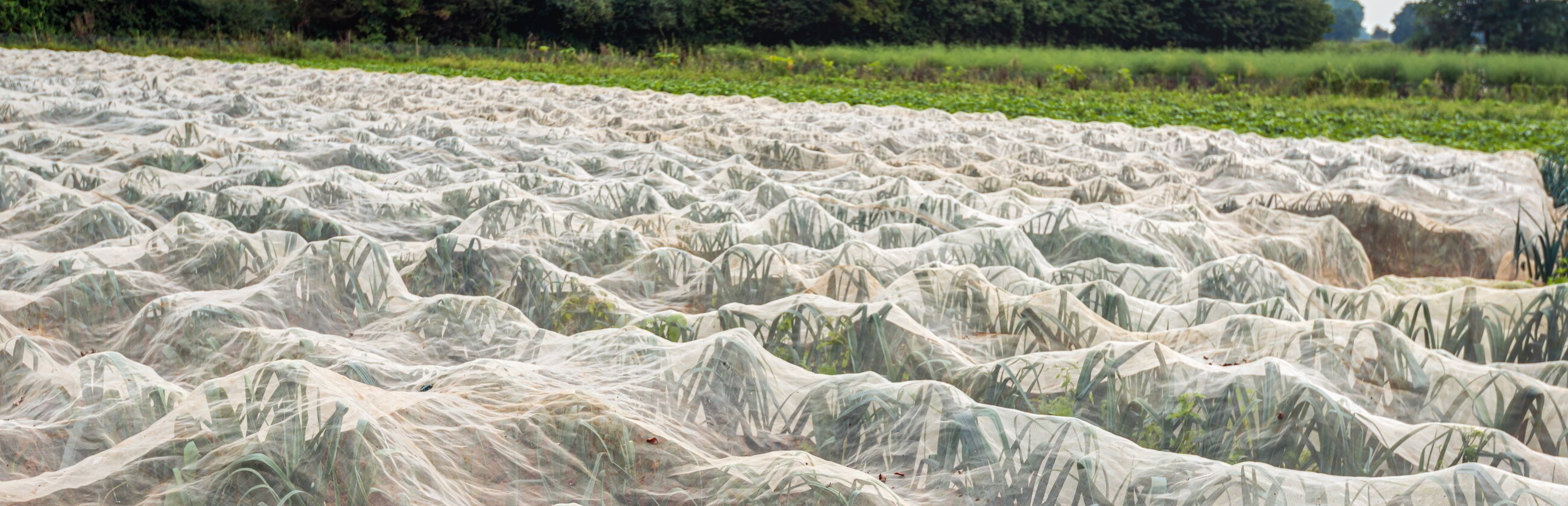 Agroflor : agriculture : insect protection nets to protect fruit and ...