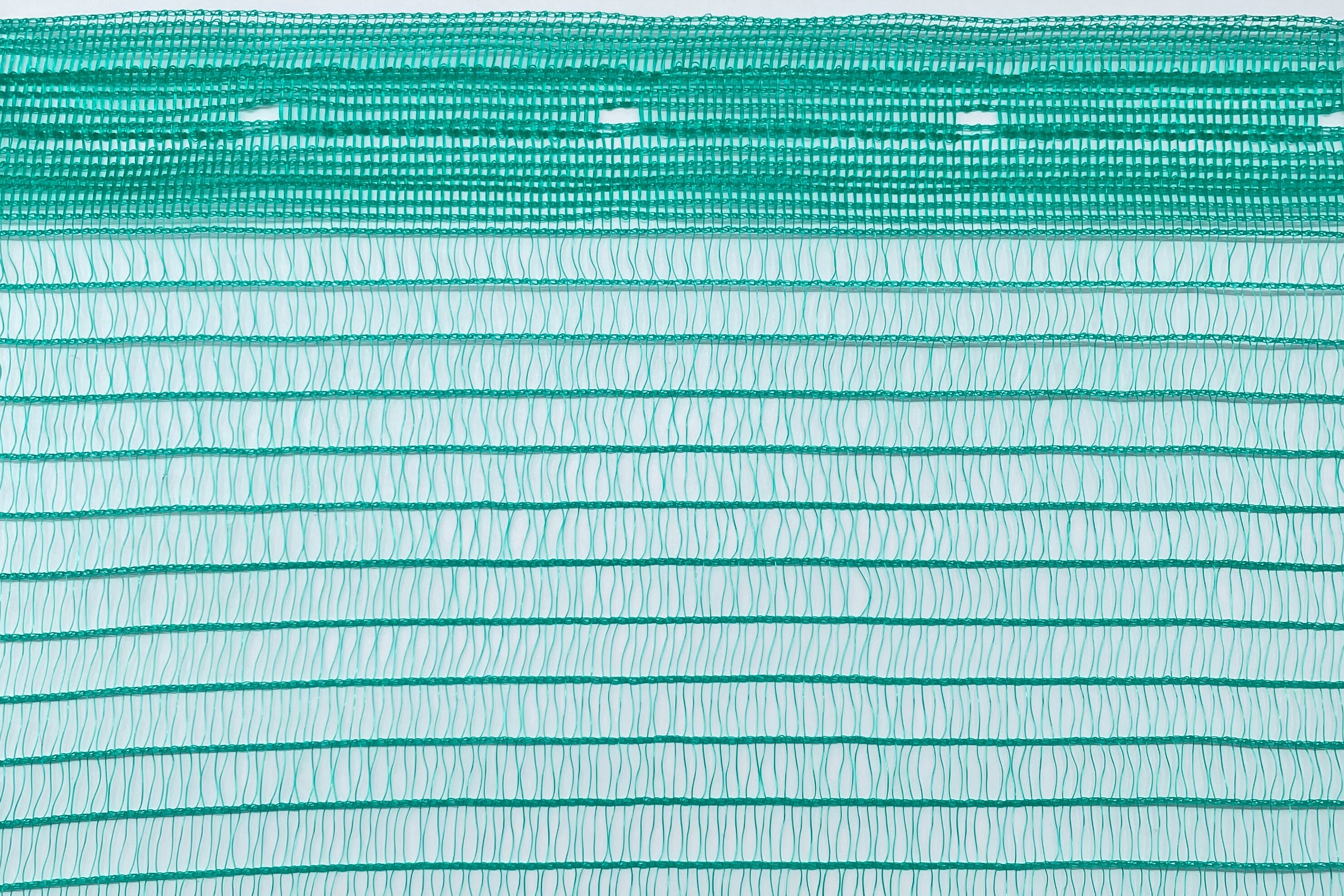 Agroflor : agriculture : wasp protection net for vine by agroflor