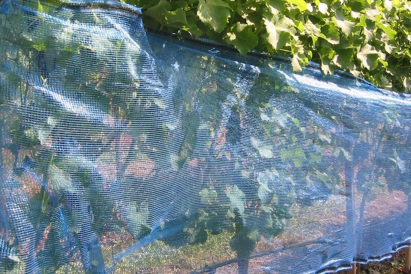 Agroflor : Wein- und Rebschutznetze