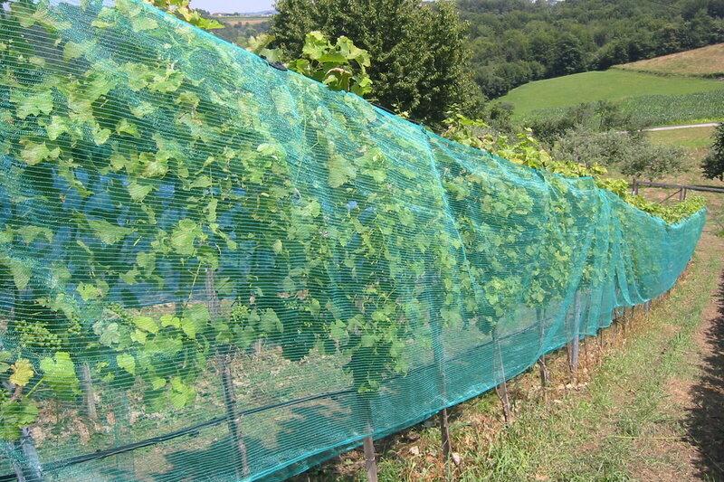 Agroflor : Wein- und Rebschutznetze