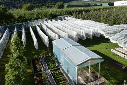 Agroflor : Wein- und Rebschutznetze