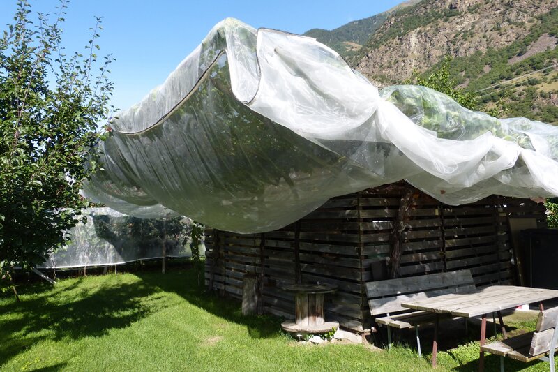 Agroflor : Wein- und Rebschutznetze